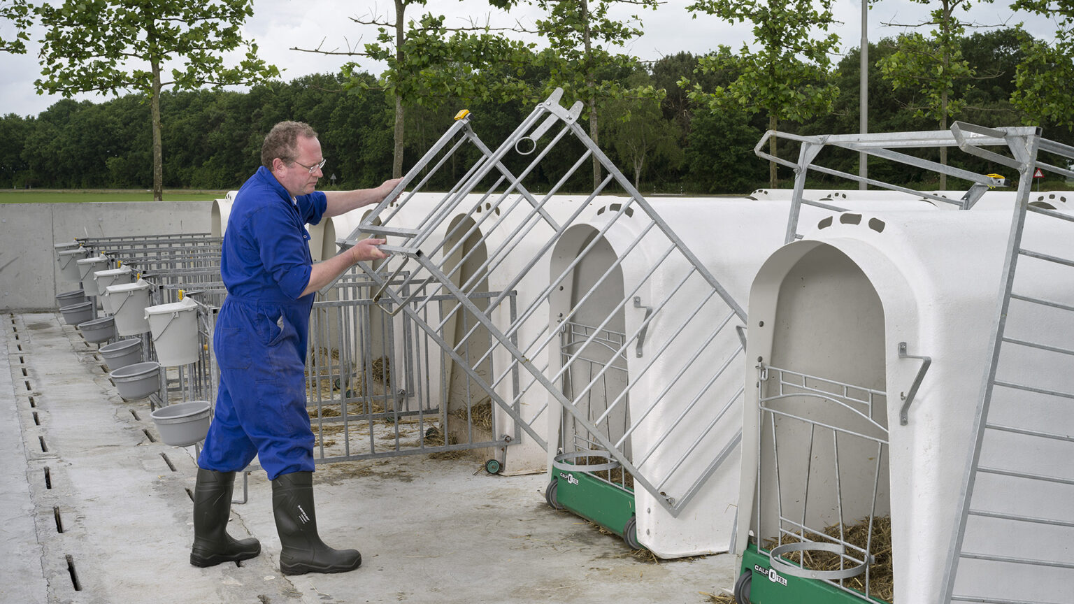 9 tips om innendørs oppstalling av unge kalver - CalfOTel